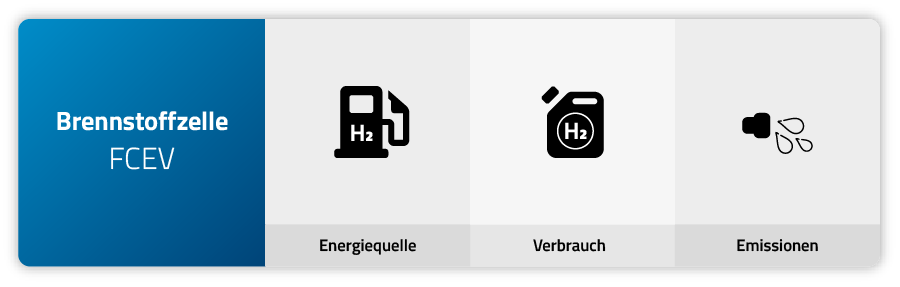 Elektromobilität: PHEV, BEV und Co. – Was ist das?
